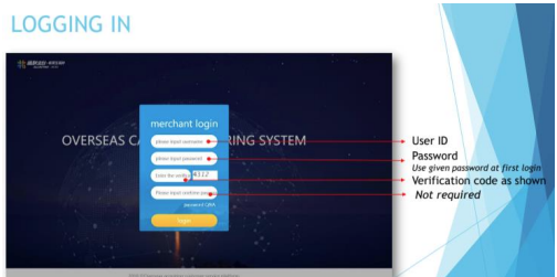 AllinPay Merchant Login Process